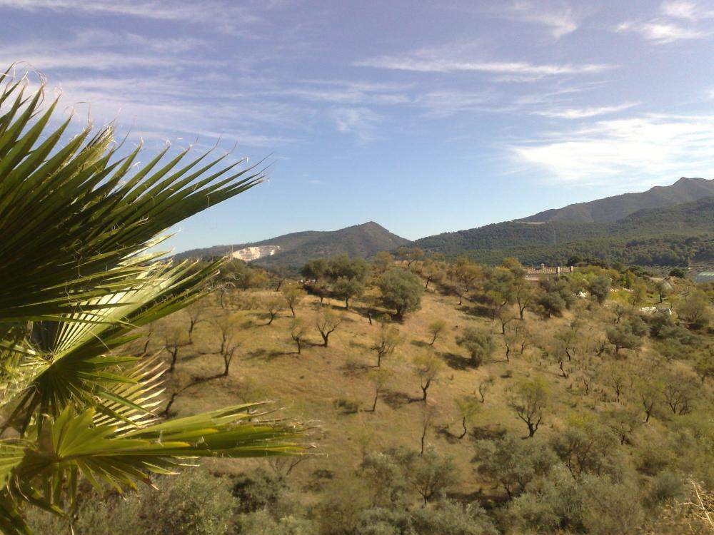 Marbella im Winter - lohnt sich das? (Spanien, Andalusien)